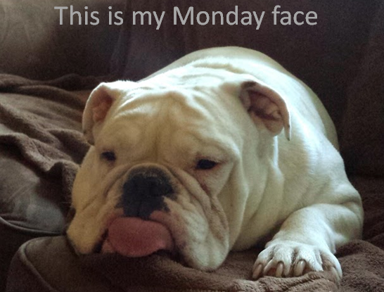 Monday blues | BosGuy