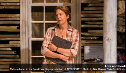 SpeakEasy Stage Co presents, appropriate | BosGuy