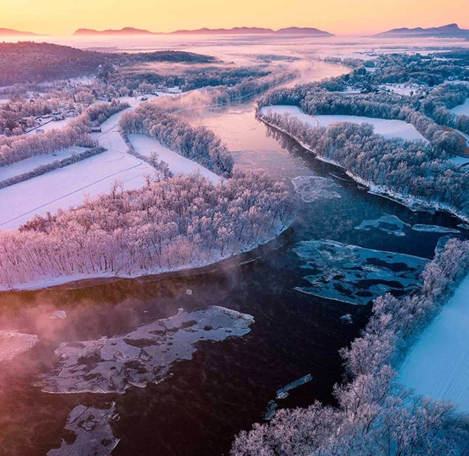 This week on Instagram: jamiemalcolmbrown | BosGuy